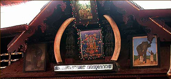Kesavan – Gajaraj : The Elephant Devotee of Lord Guruvayur | Holy Dham