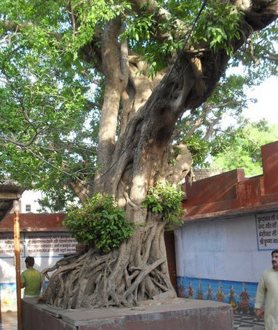 Vrindavan | Holy Dham