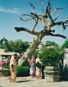 Radha Kunda and Shyama Kunda | Holy Dham