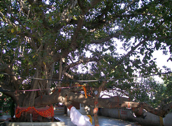 Shukratal | Holy Dham