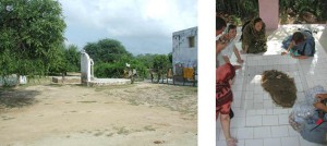 Shyamavan and Shyama Kutir (Ratna Simhasana) | Holy Dham